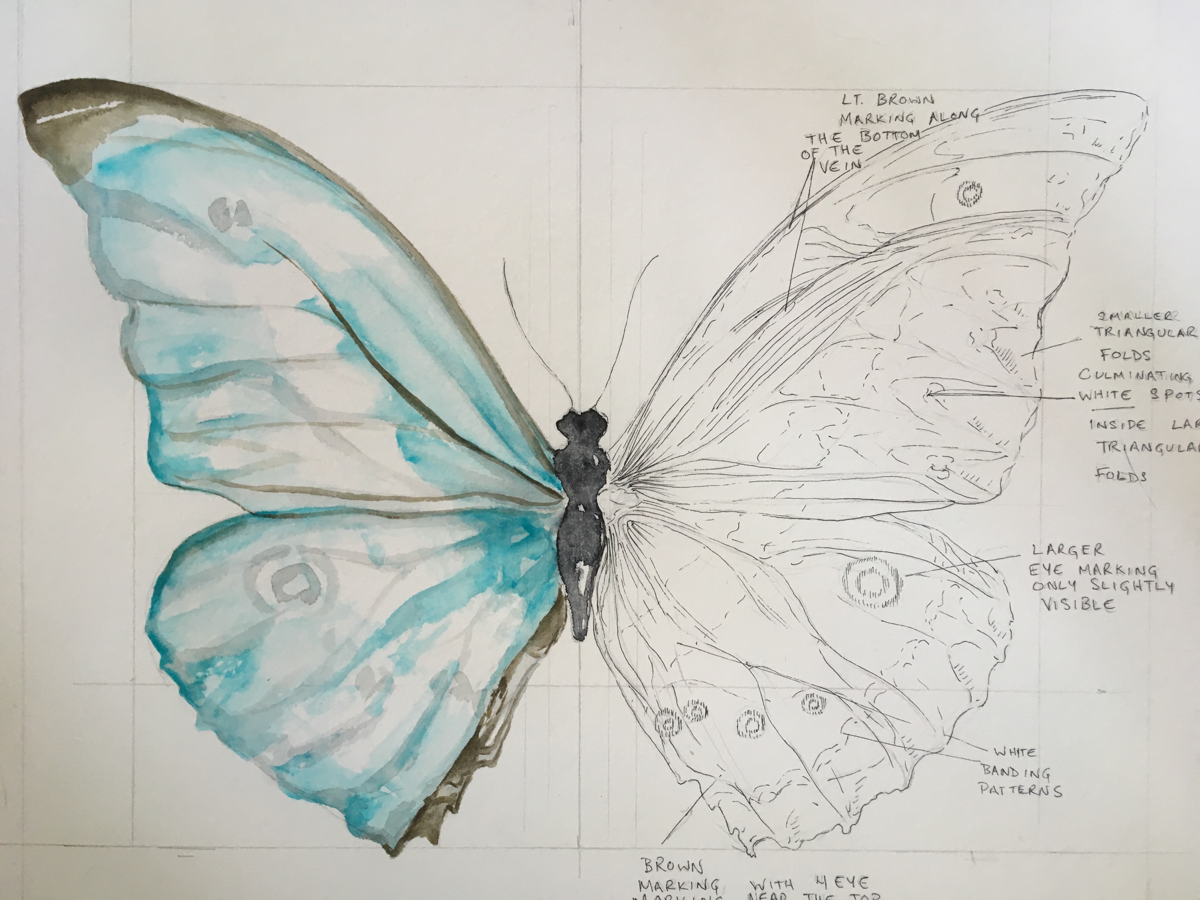 Butterfly - step by step process pictures
