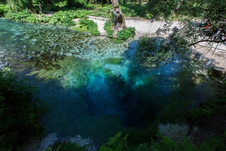 Syri Kalter Sarande ~ Entertainment-Enter