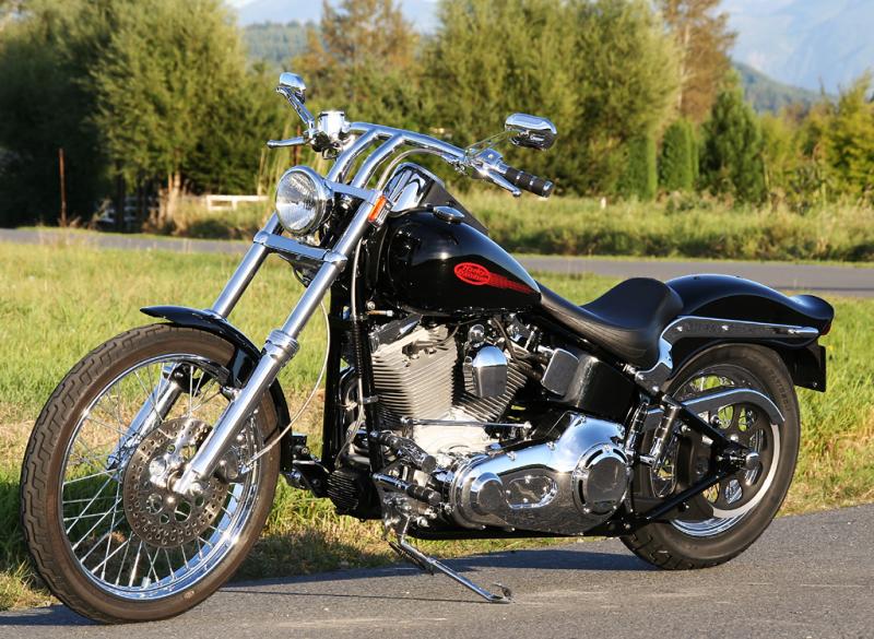 Hellboy Biker: 2004 Harley Davidson Softail Standard (FXST)