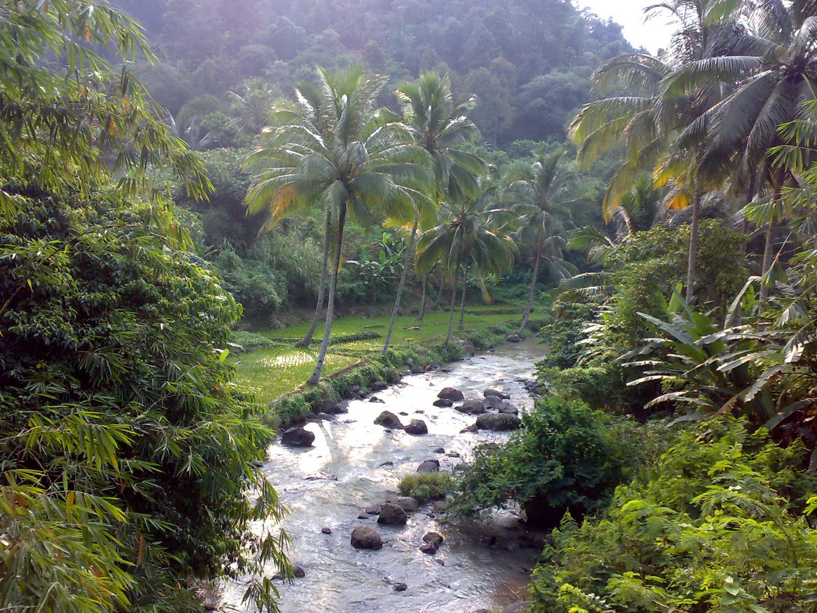 MY BEAUTYFULL SUNDA (TANAH SUNDA URANG NU ENDAH ): the best of my ...