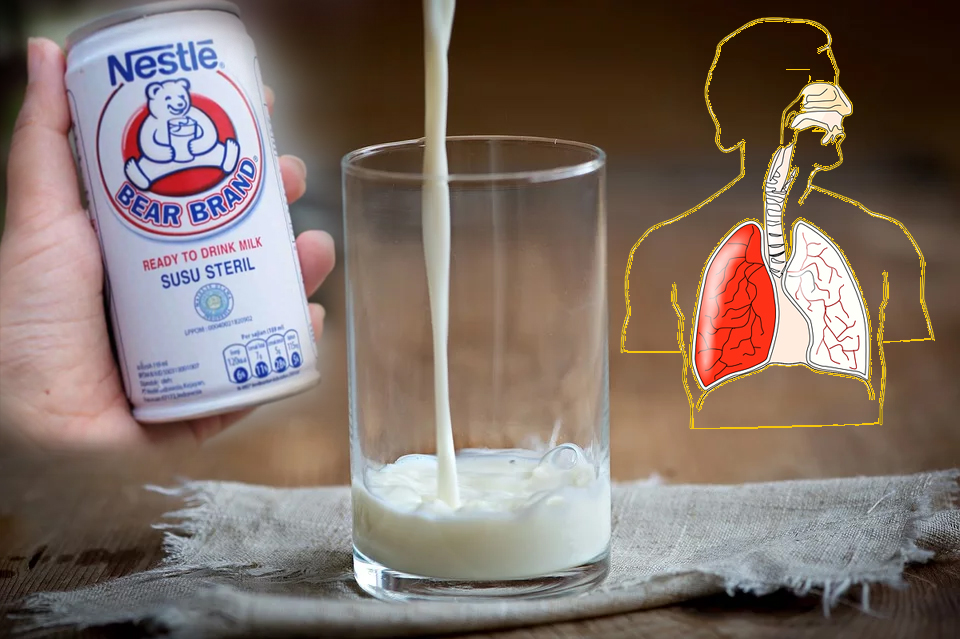 Manfaat susu beruang untuk tb 2021 Manfaat susu beruang untuk tb 2021