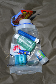 Great Lake Survival Blog: GLSC LEVEL 2 SURVIVAL KIT