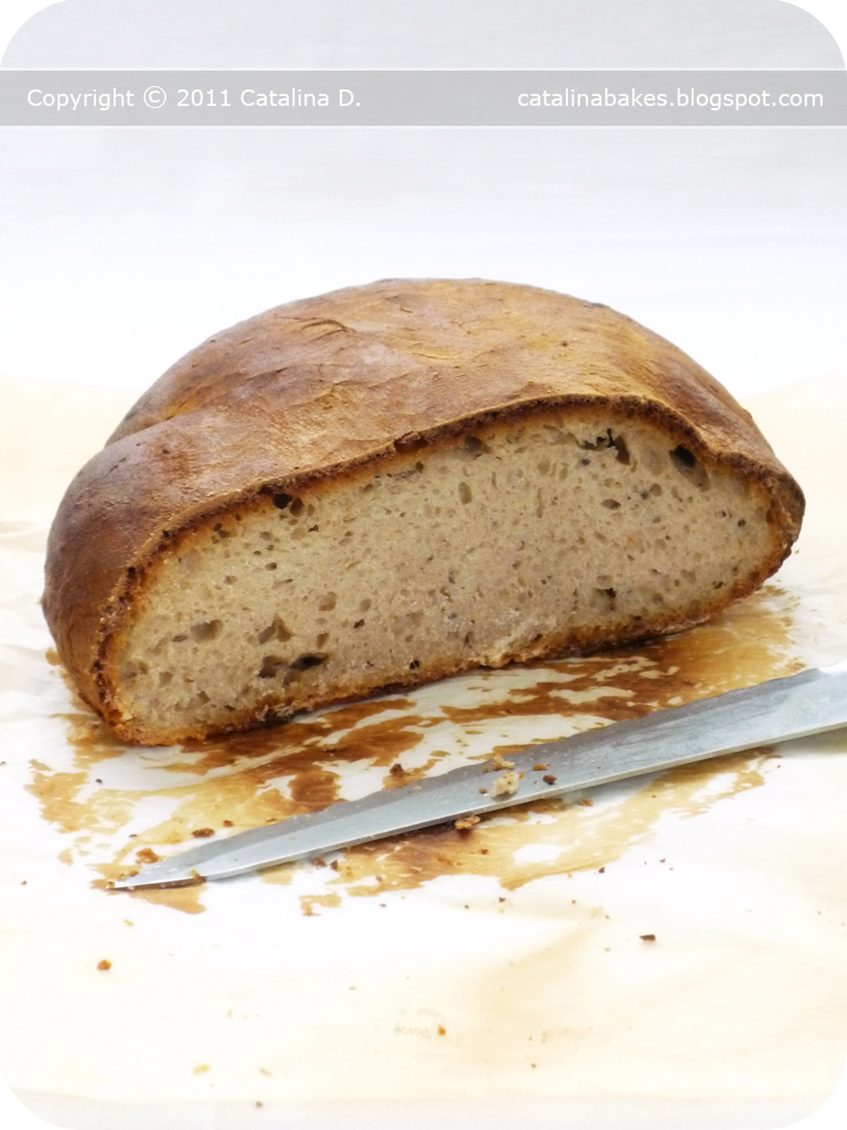 Catalina Bakes: The Daring Bakers' Challenge: Wheat Rye Bread with Cumin