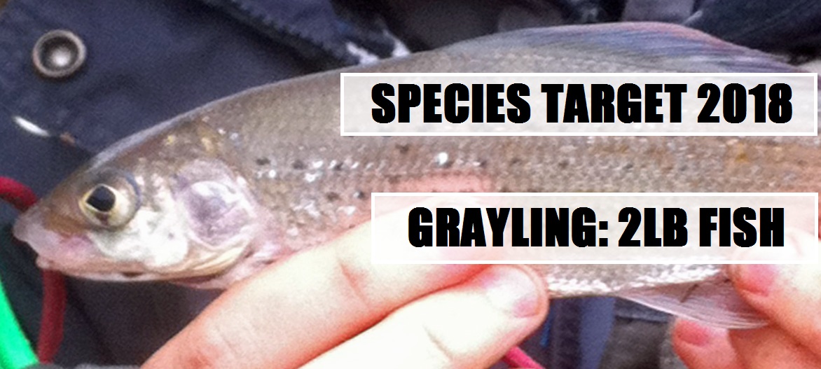 Tim's Riparian Ramblings: 2018/19 Targets