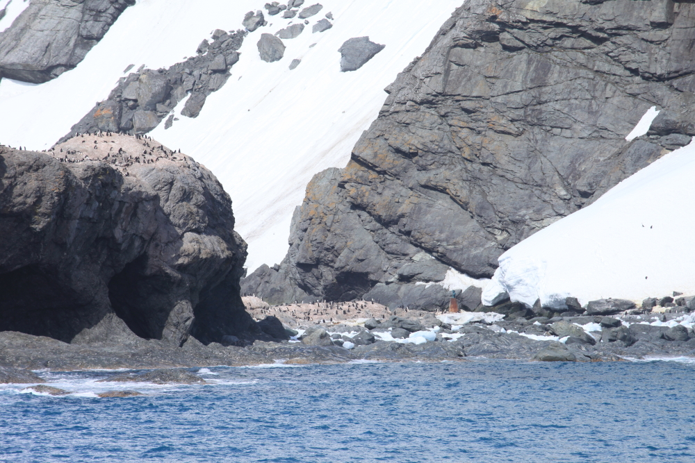 Earthly Musings - My Travel and Geology Blog: Elephant Island and the ...