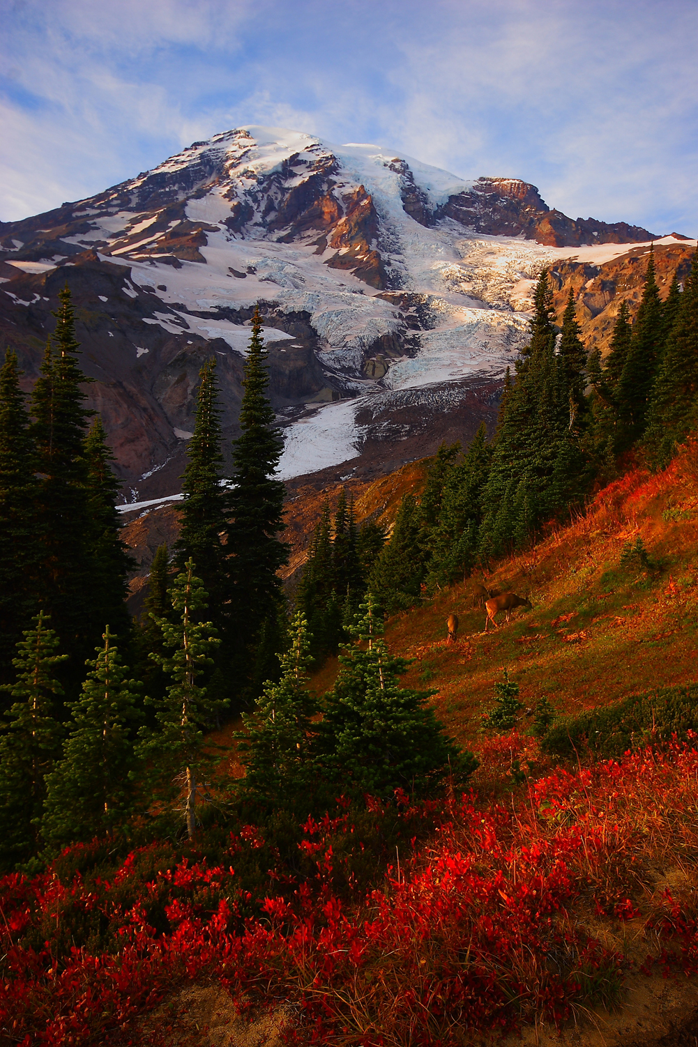 Visit Rainier: Fall Transition at Mt. Rainier