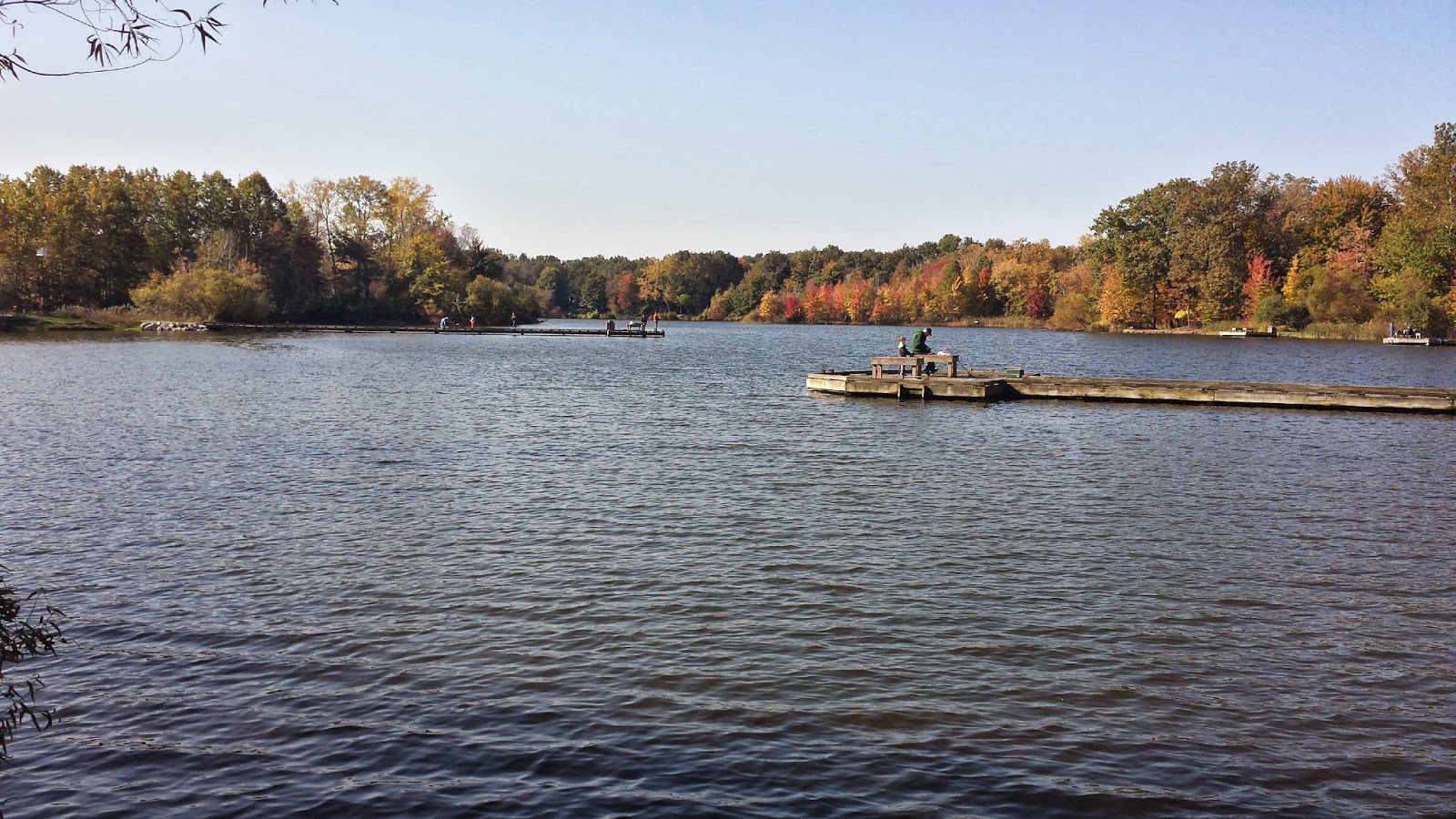 Lake Metroparks Fishing Report: Veterans Park pond stocked today