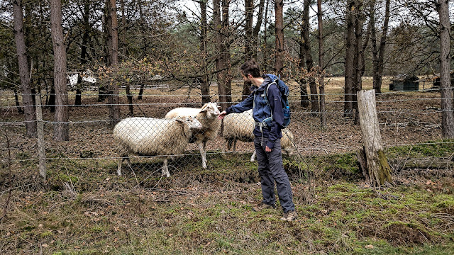 Bergloper: Stroe en Oud-Milligen