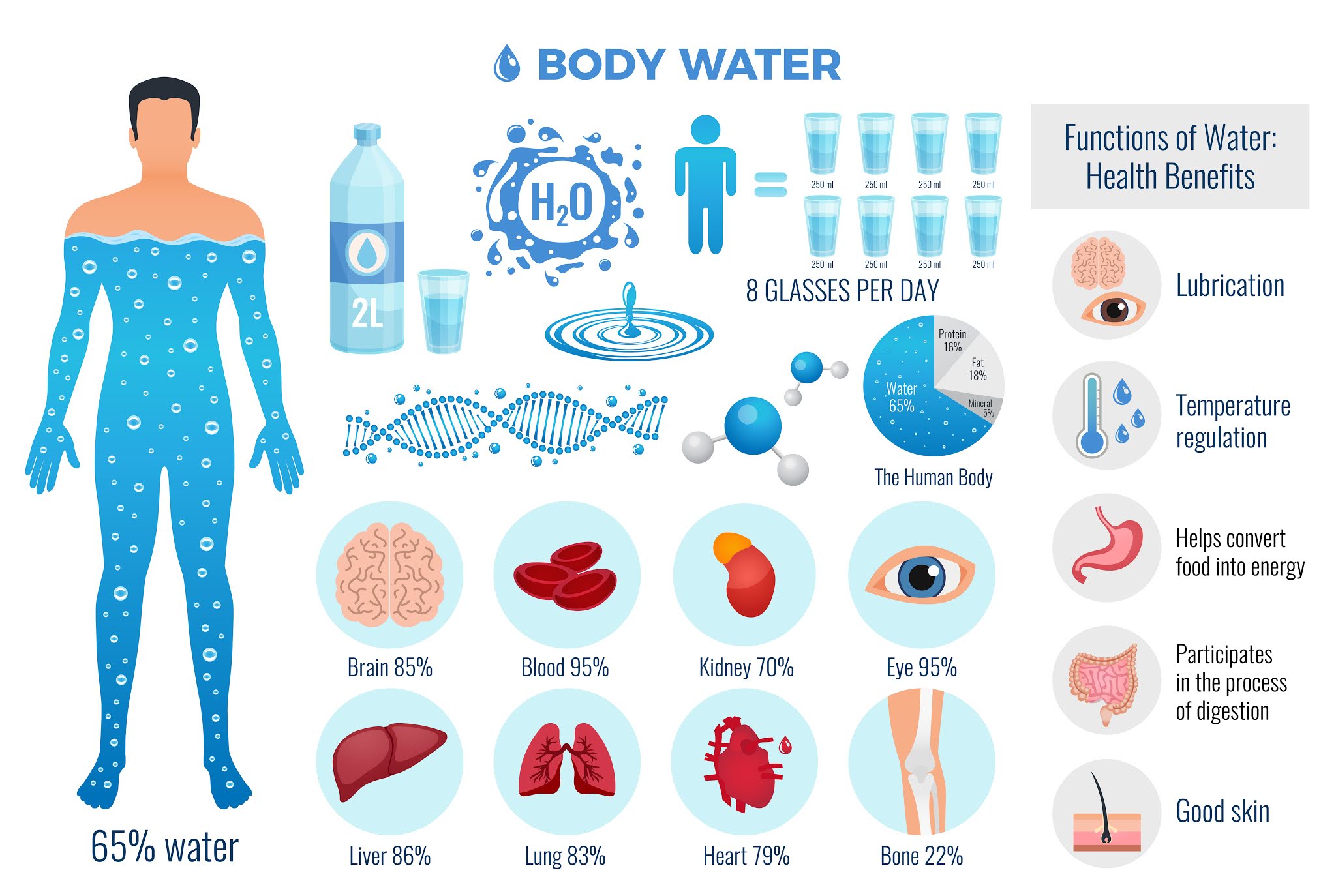 THE FIRST POUND Is It REALLY 8 Glasses Of Water That You Should Drink the-first-pound-is-it-really-8-glasses-of-water-that-you-should-drink