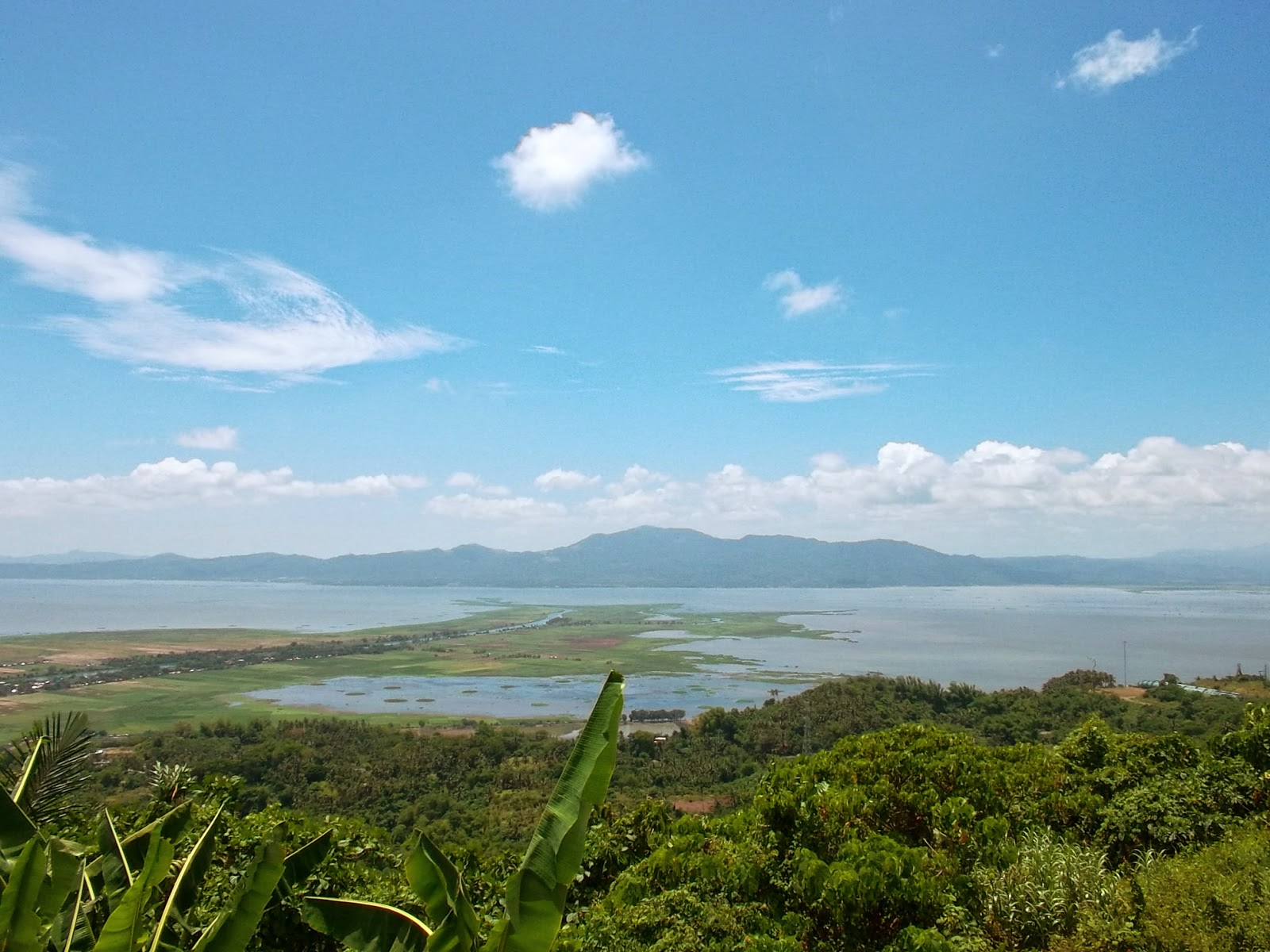 Laguna De Bay Philippines 2,000 Hectares Of Laguna De Bay Eyed For