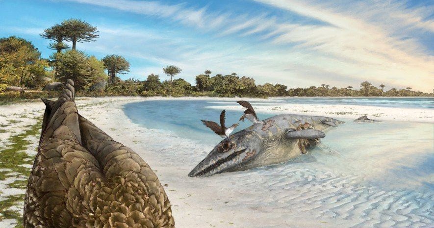 Τέχνης Σύμπαν και Φιλολογία: Ανακαλύφθηκε η «Αστεριόρνις», το ...