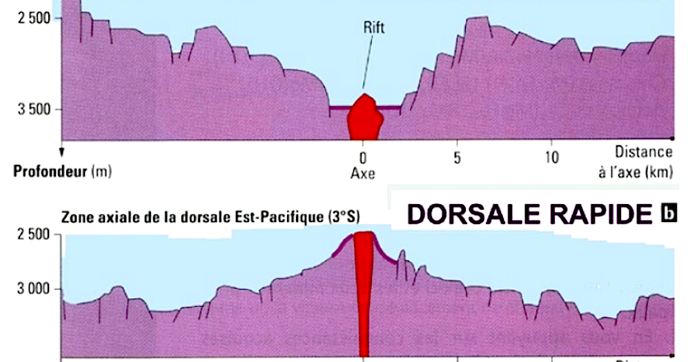 Quoi de neuf en SVT ? par Maître Corydon Muttaburrasaurus: Chapitre 3. La dynamique des zones de ...