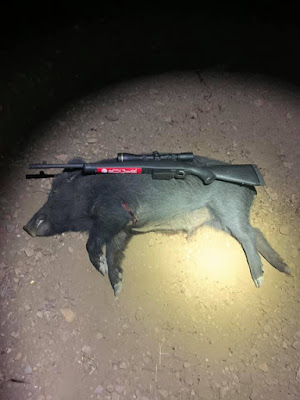 Hog Queen's #186 | Outdoors | Before It's News