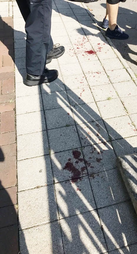 Four legged friends (and enemies): New York: After Christopher Chabrier ...