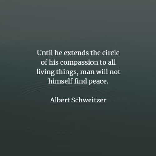 85 Peace quotes that inspire unity and calmness