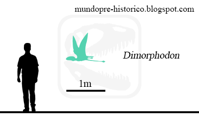 Mundo Pré-Histórico: Dimorfodonte, o réptil com dois tipos de dentes
