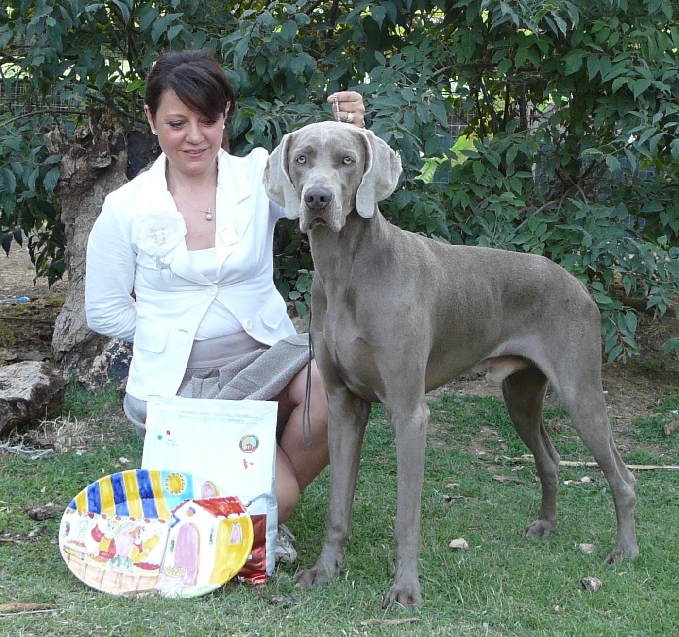 WEIMARANER DI GREYSBETH: INTERNATIONAL DOG SHOW PALERMO 2013