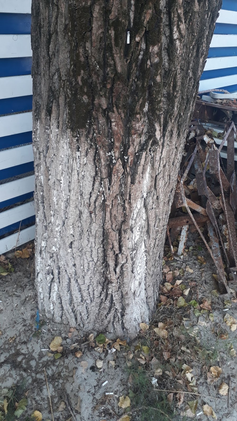 Loc de fumat... pe litoralul românesc - DETALII DEPIXELATE