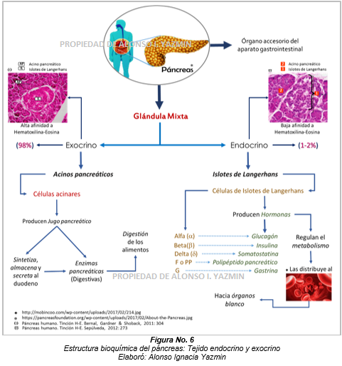 Bioquímica Diagnóstica BQD-YAI: ESTRUCTURA BIOQUIMICA