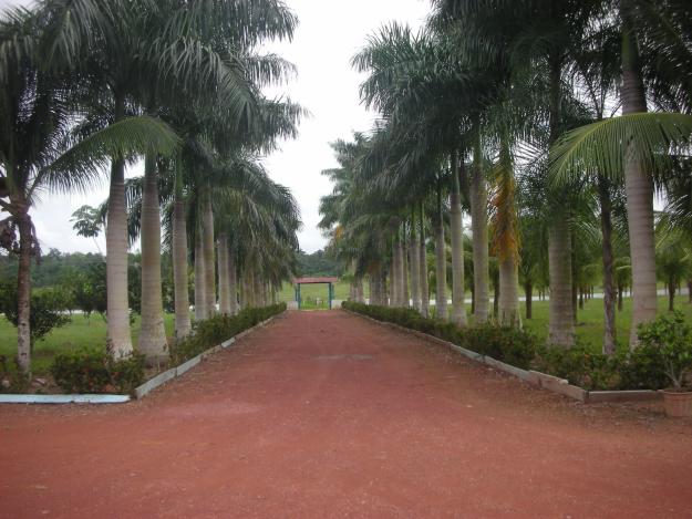 VIAGEM, TURISMO E AVENTURAS POR LUGARES INCRÍVEIS : AUTAZES / AMAZONAS ...