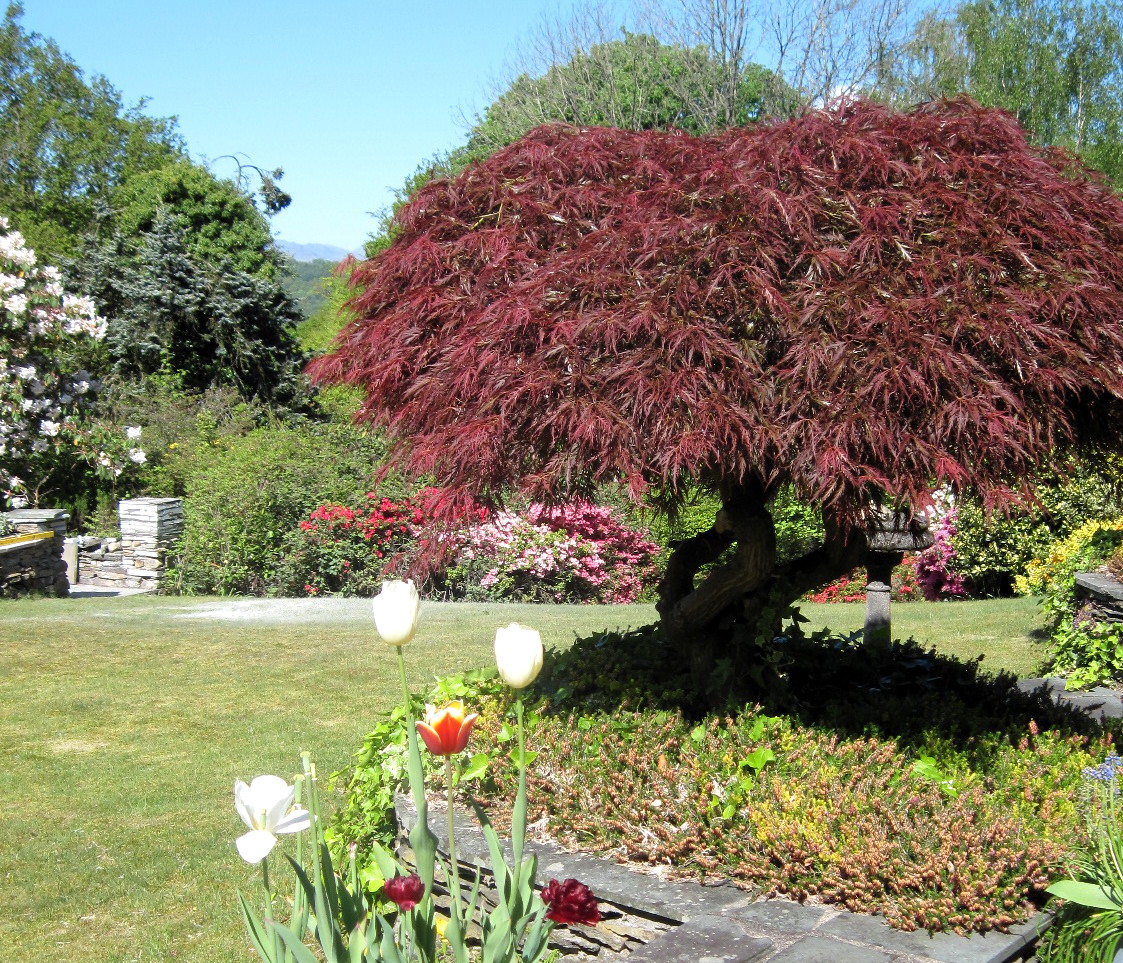 Flutterby Patch: May 2011