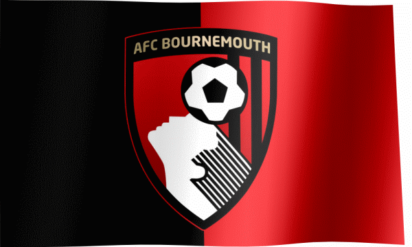 AFC Bournemouth Fan Flag (GIF) - All Waving Flags