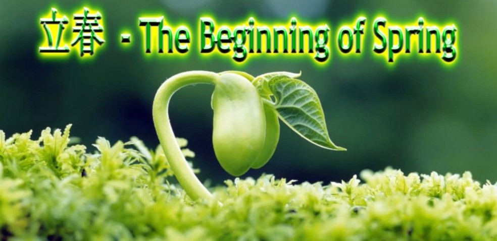 A little bit of everything: 24 Solar Terms (二十四节气)