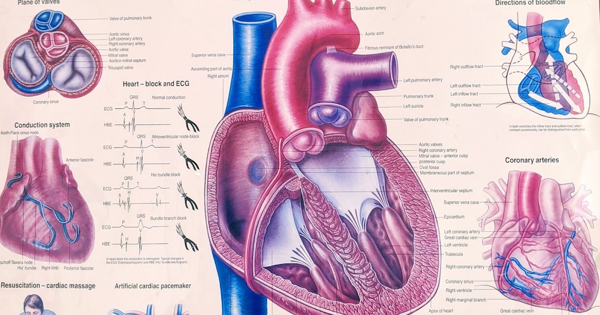 Open Heart (Part 2) - No pain, no gain