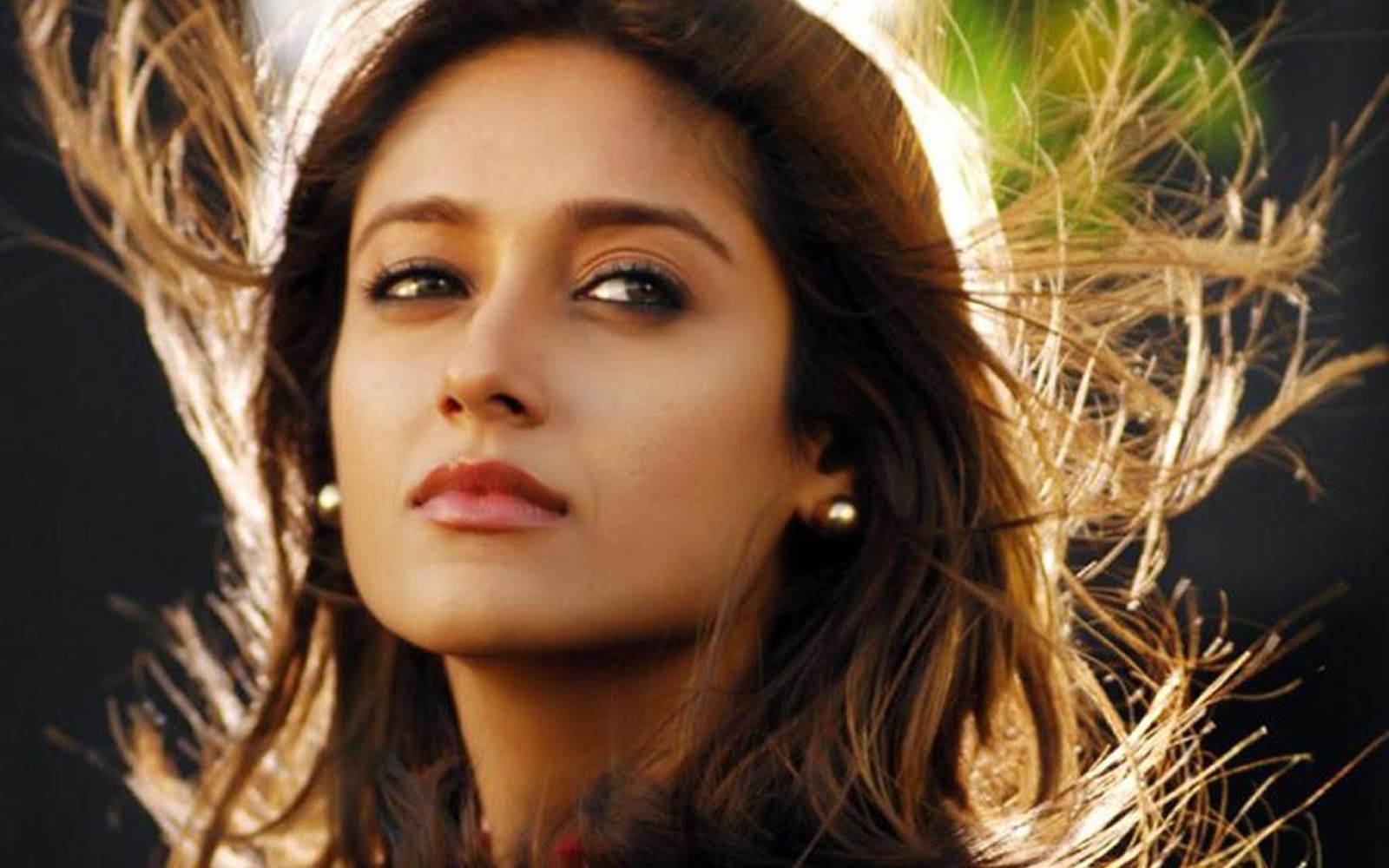 HD Best wallpaper: Top 10 Ileana d'cruz 100% HD Desktop Wallpaper