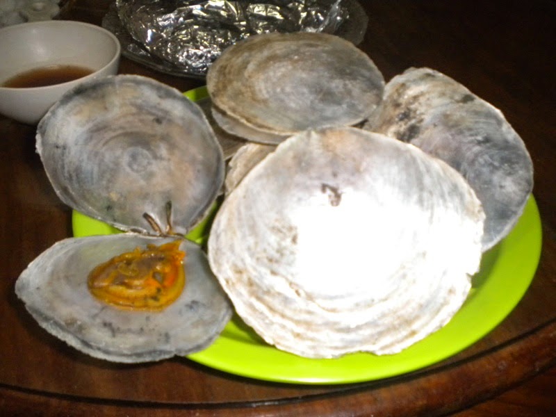 Soliloquy Beyond: Ang Bakasyunistang Weirdo sa Tigbauan, Iloilo