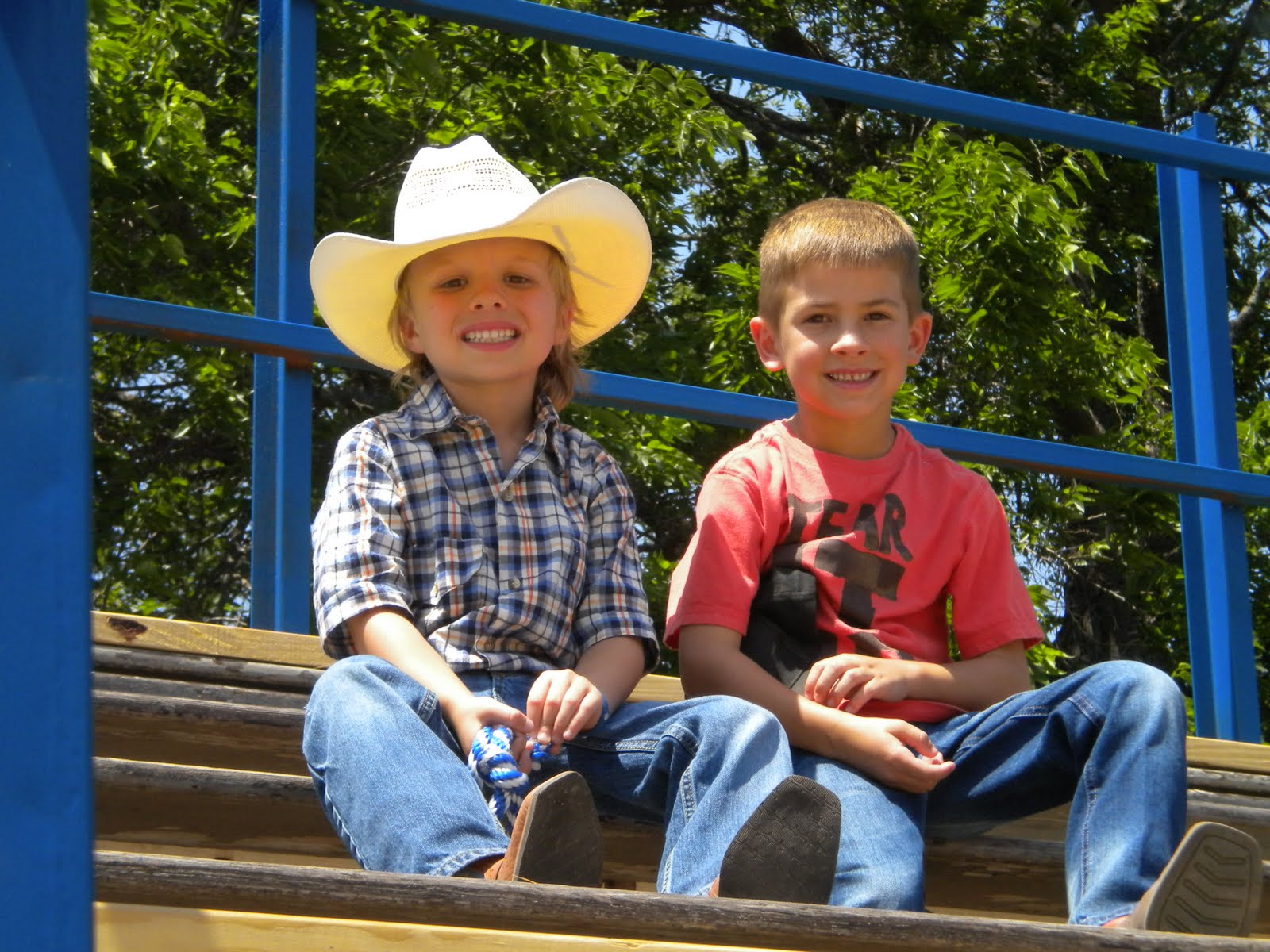 Thoughts from Meme's Corner: Mutton Busting Blue Monday