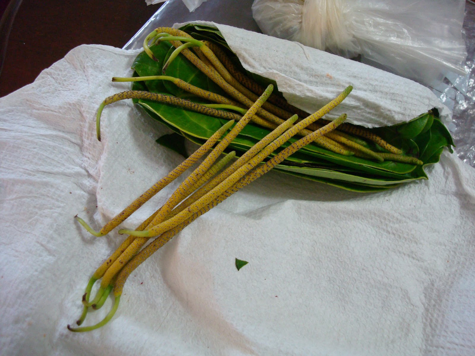 paleric: PUPULU : IT'S ALL GOOD