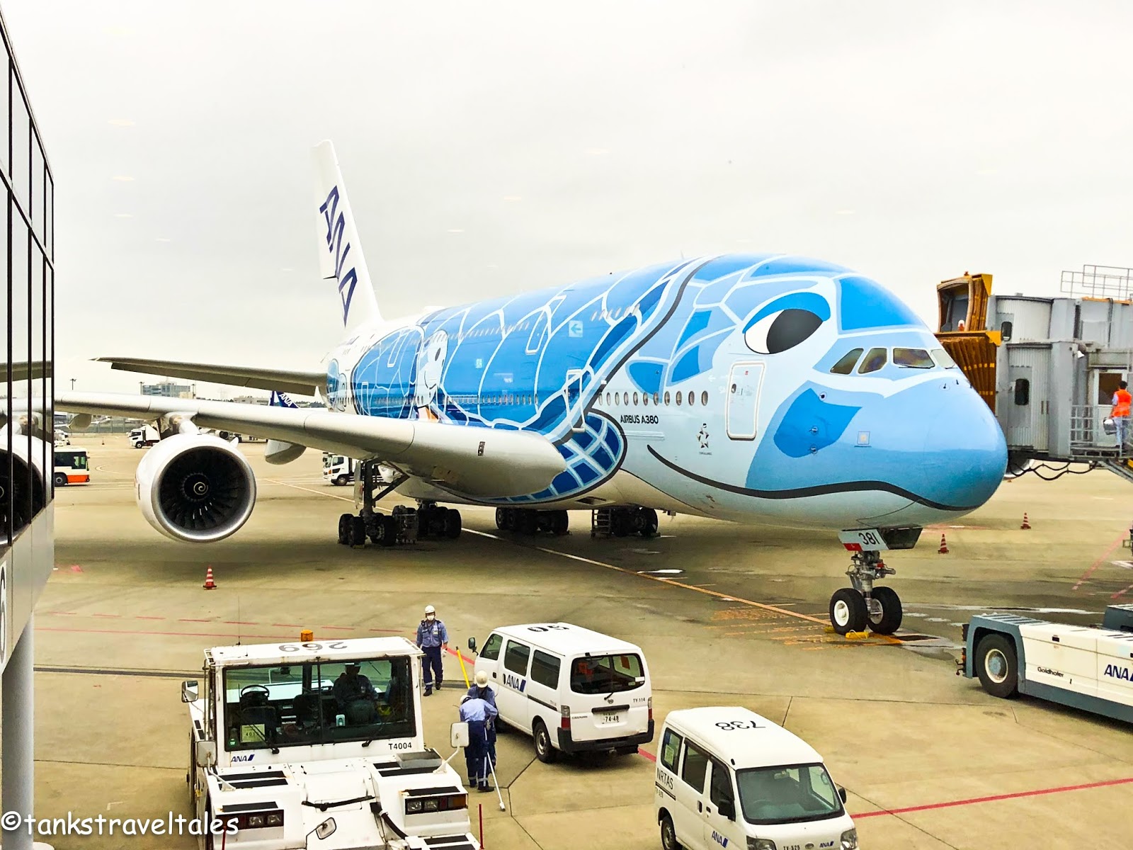 Airplane Pictures - ANA A380-800 with Turtle Livery