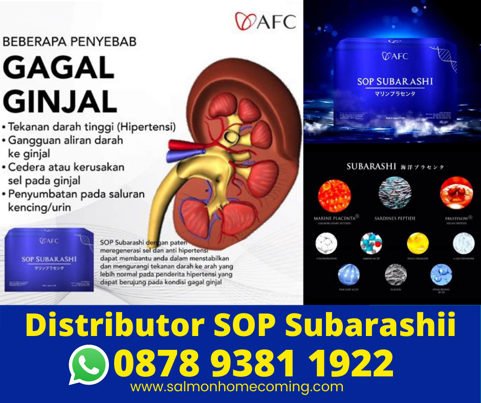 Manfaat SOP Subarashi Untuk Puasa - WA 0878 9381 1922 SOP Subarashi Untu...