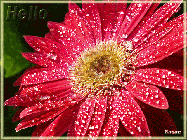 Animaciones y Gif: Hola - Hello