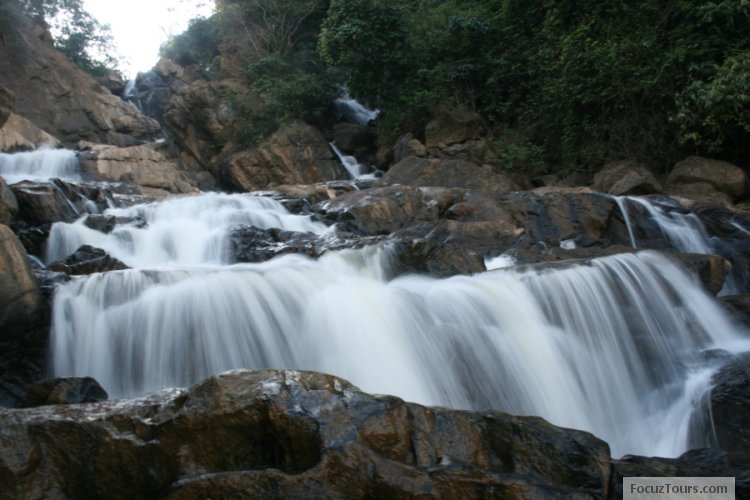 Best Time To Visit Wayanad