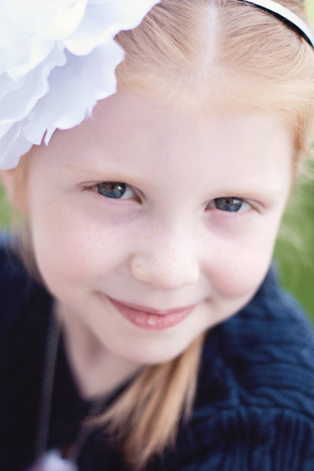 The Daily Daniel Dish