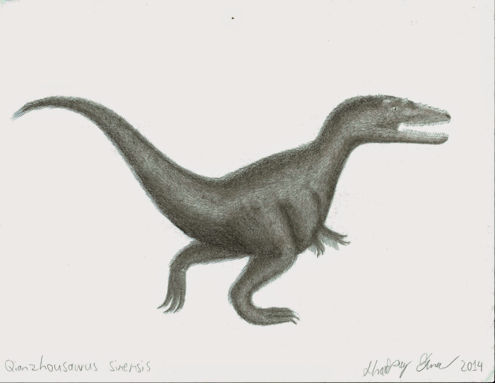 Sounder Art: Qianzhousaurus sinensis