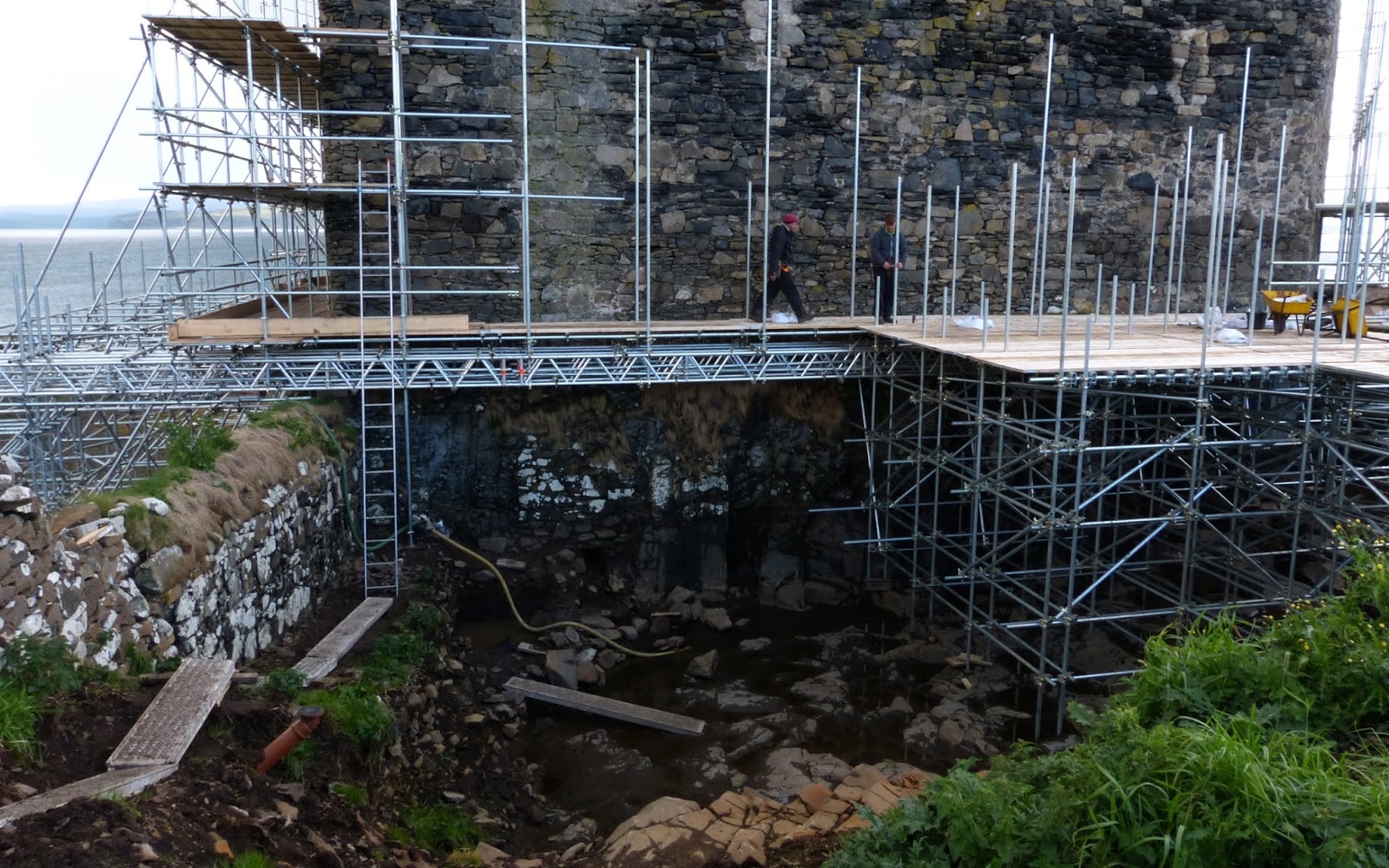 Mingary Castle: Scaffolding Wildlife