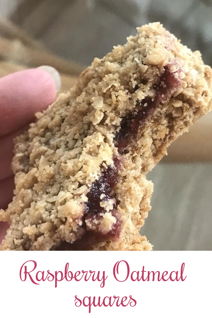 Raspberry Oatmeal Squares [The Color Wheel Gallery]