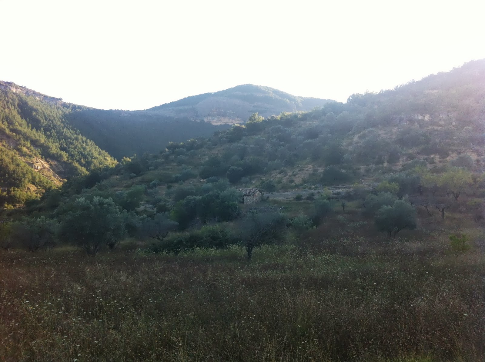 El sueño de la ruta del lobo: La Ubaga