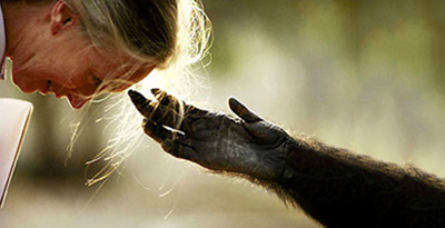 The Final Cinema: 1990 IN FILM