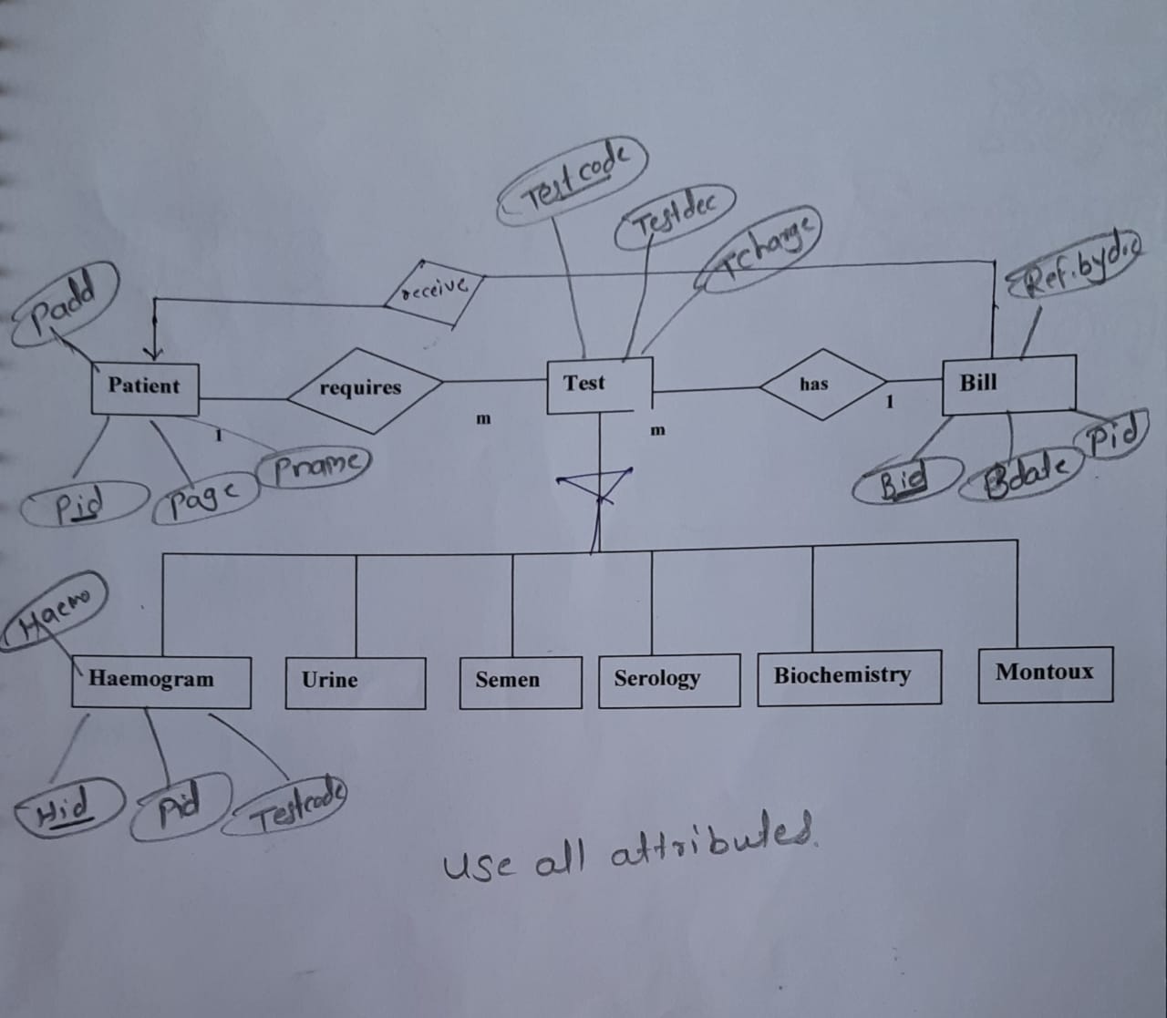 ERD Diagram ~ BCA Programming Notes