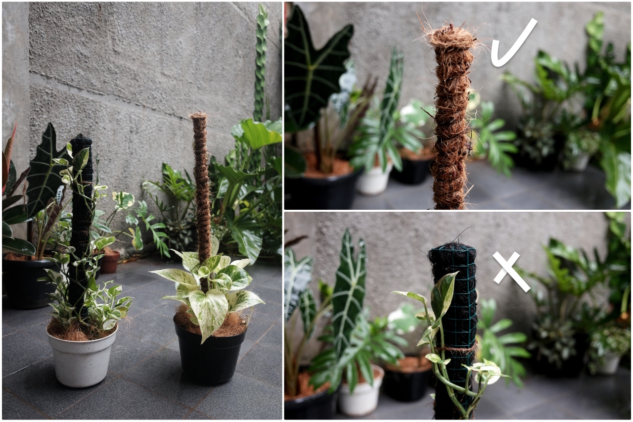 n-journal: Membuat Turus Tanaman Sendiri