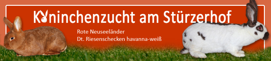 Kaninchenzucht am Stürzerhof: Deutsche Riesenschecken