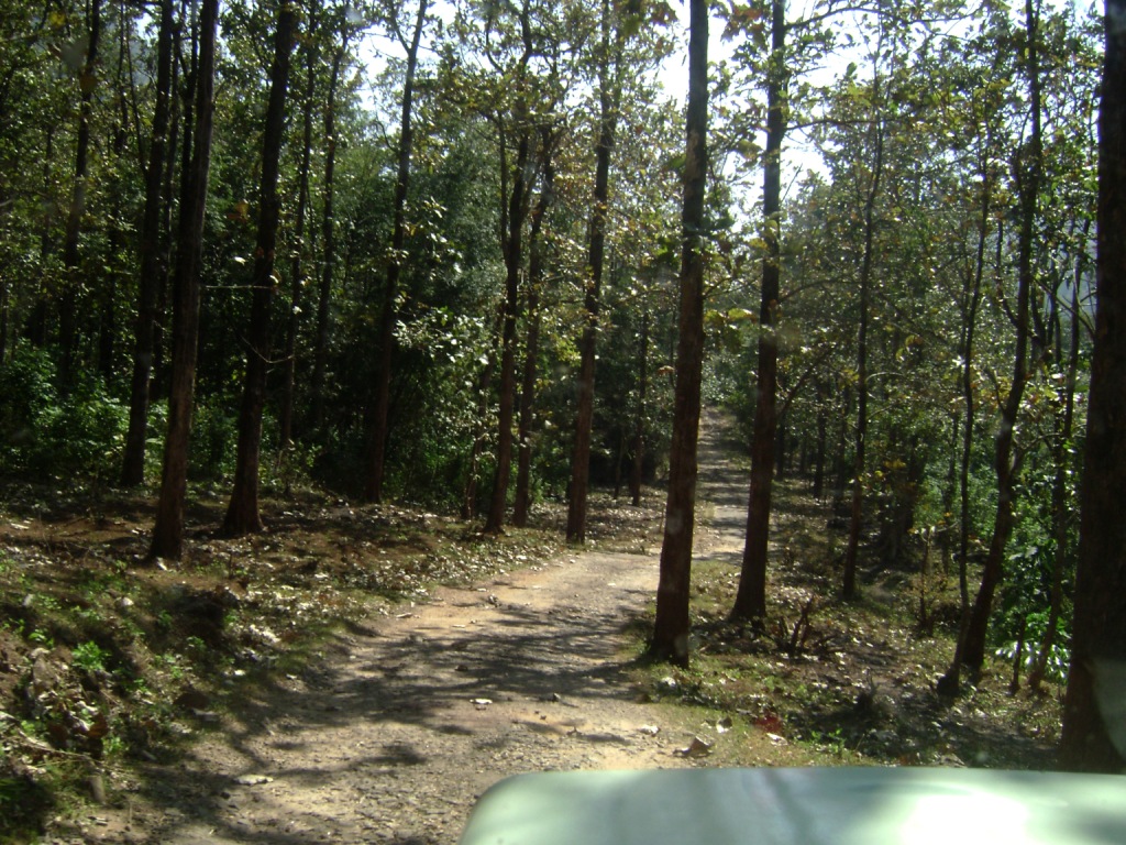 Nature Enthus - DLC : Rajathottam - The Ruler's Choice