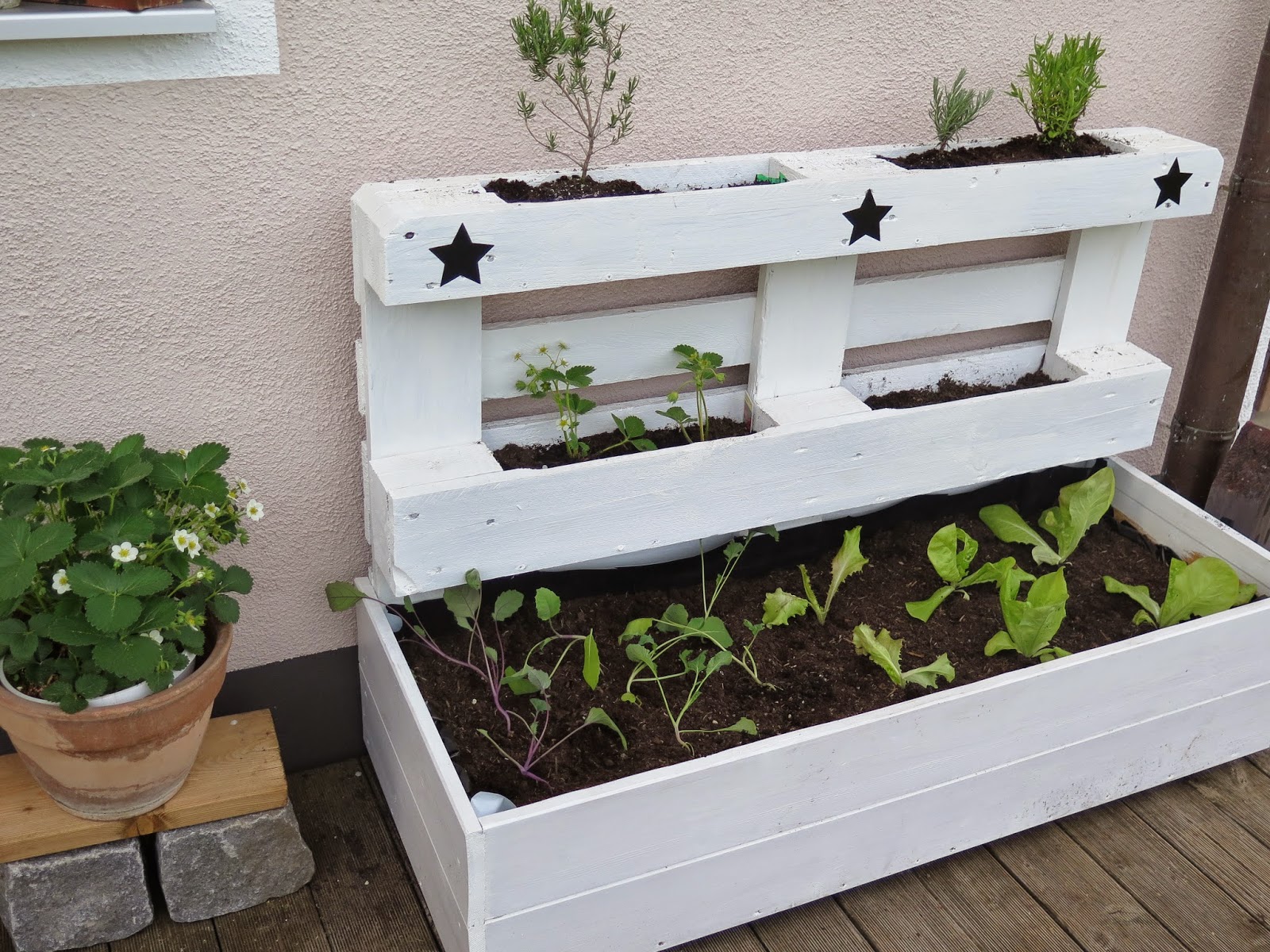 Emifee: Paletten-Beet