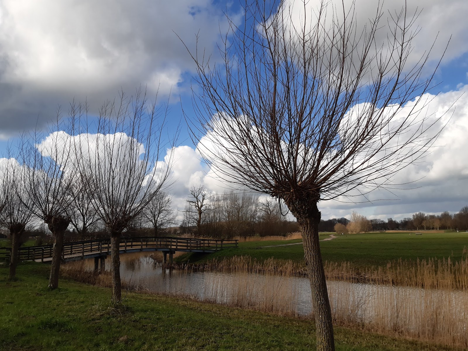 bij 't vuur: MRIJ boerenboter bij Zwolle