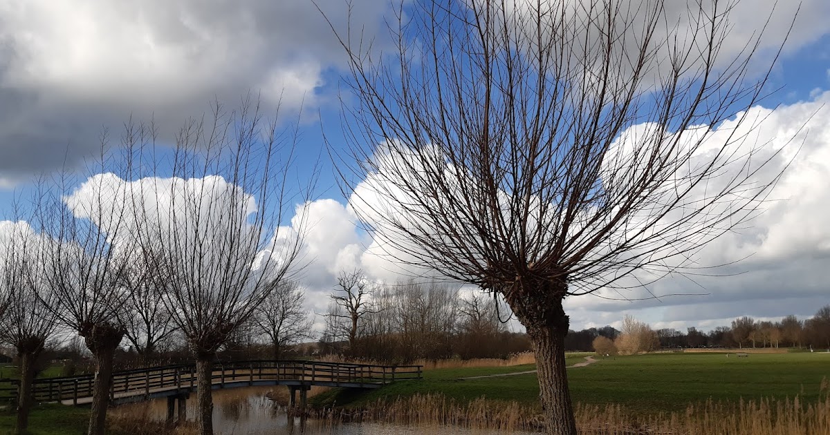 bij 't vuur: MRIJ boerenboter bij Zwolle
