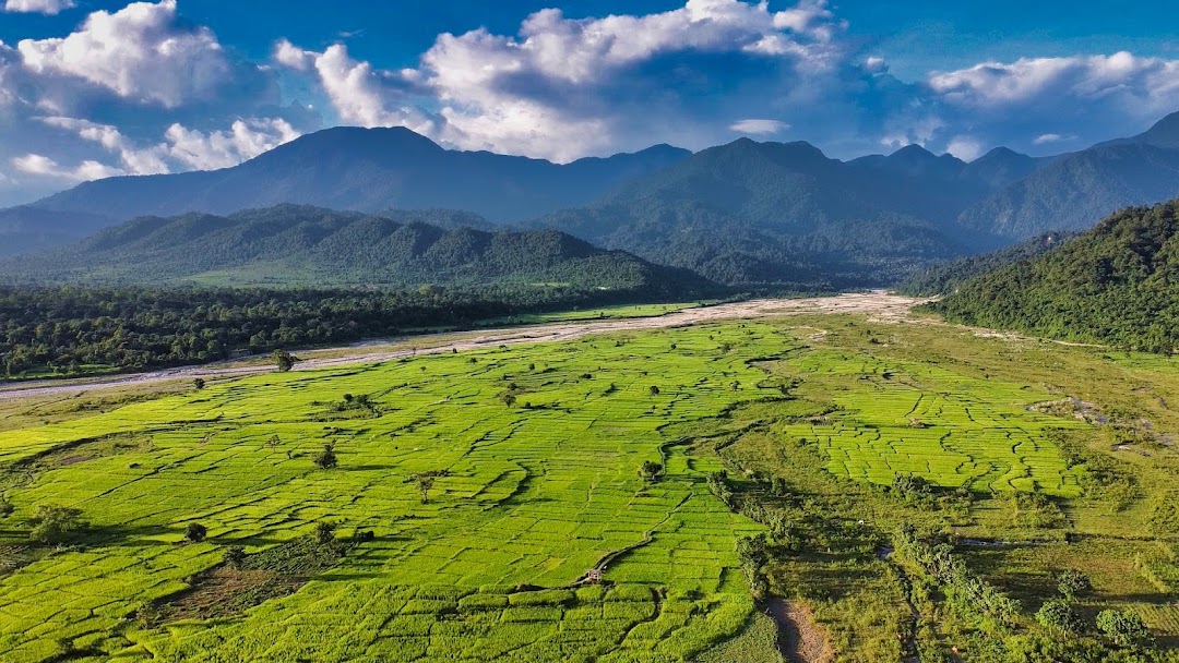 5 Must Visit Places in Udalguri, Assam - An Epitome of Tea-Tourism ...